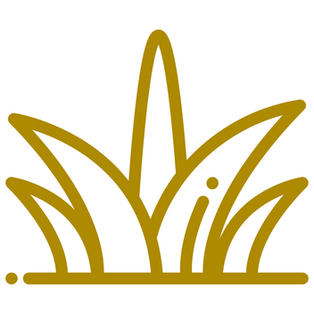 Half A Cow Pack | 100kg Grass-Fed Beef Selection – Springhill Beef Co.